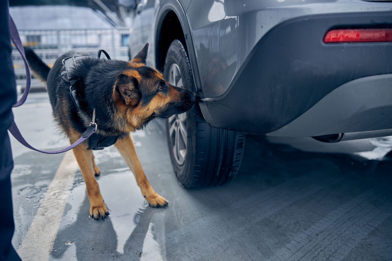 Security Company Birmingham | ISA Security Services